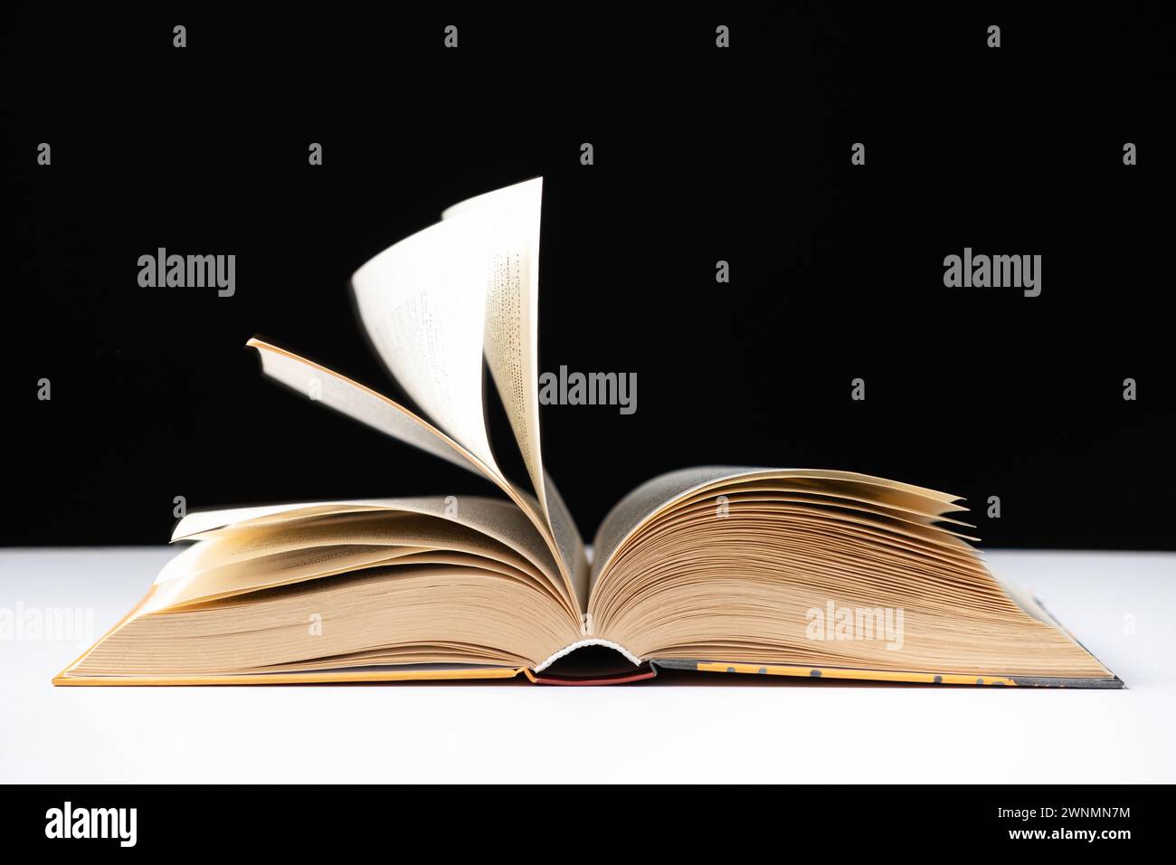 Pages of a thick book are turned on a white and black background Stock ...