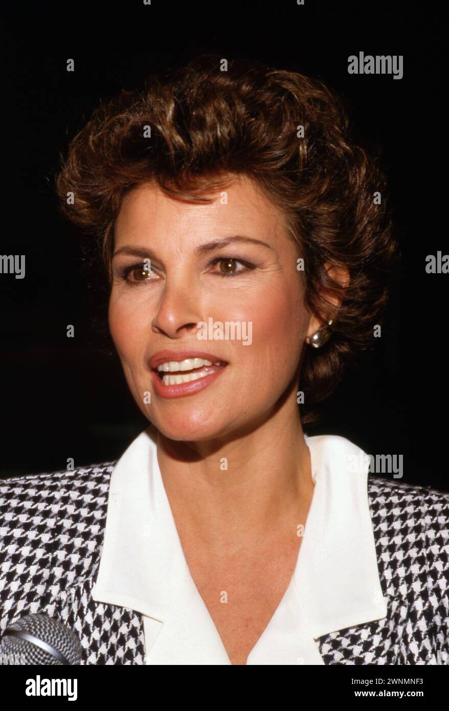 Raquel welch 1980s hi-res stock photography and images - Alamy