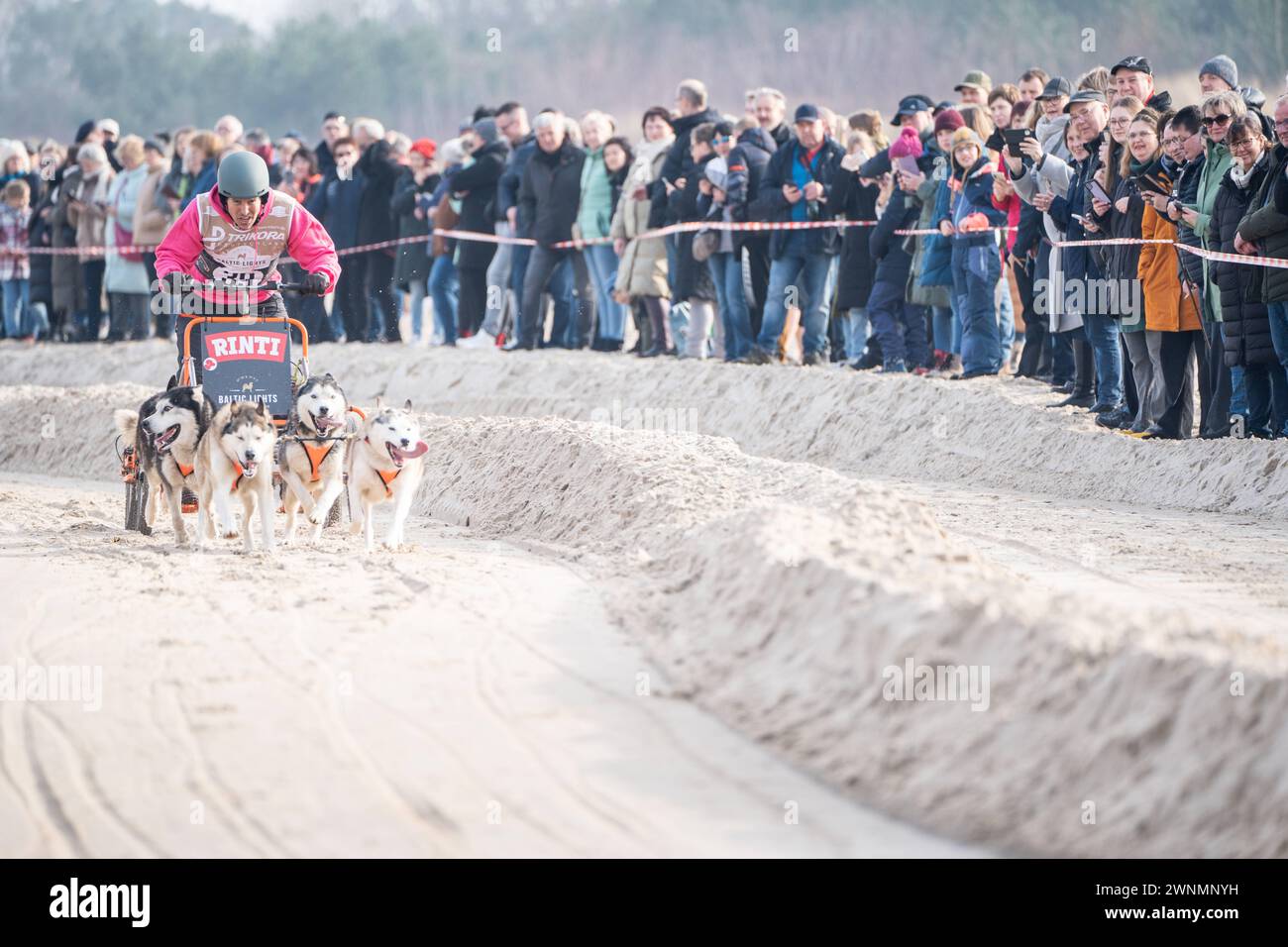 Baltic Lights 2024 auf in Heringsdorf auf der Insel Usedom Hakim ...