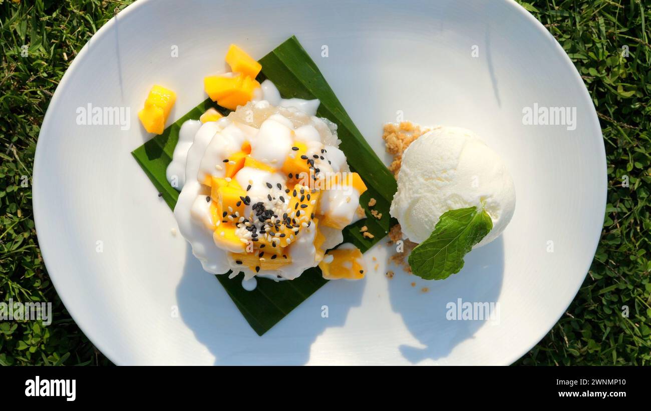 Gourmet dessert of mango sticky rice paired with coconut milk Stock ...