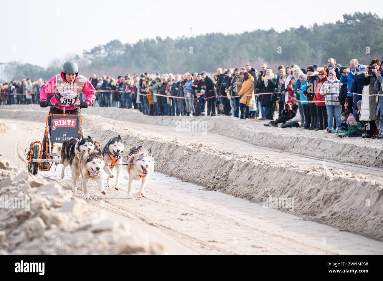 Baltic Lights 2024 auf in Heringsdorf auf der Insel Usedom Hakim ...