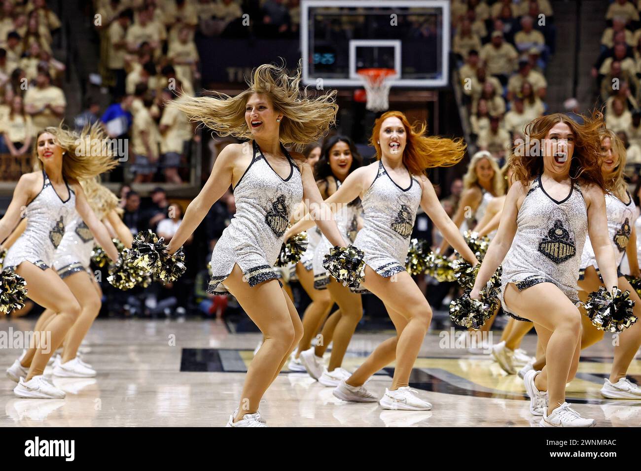WEST LAFAYETTE, IN - MARCH 02: The Purdue Gold Dusters dance team ...