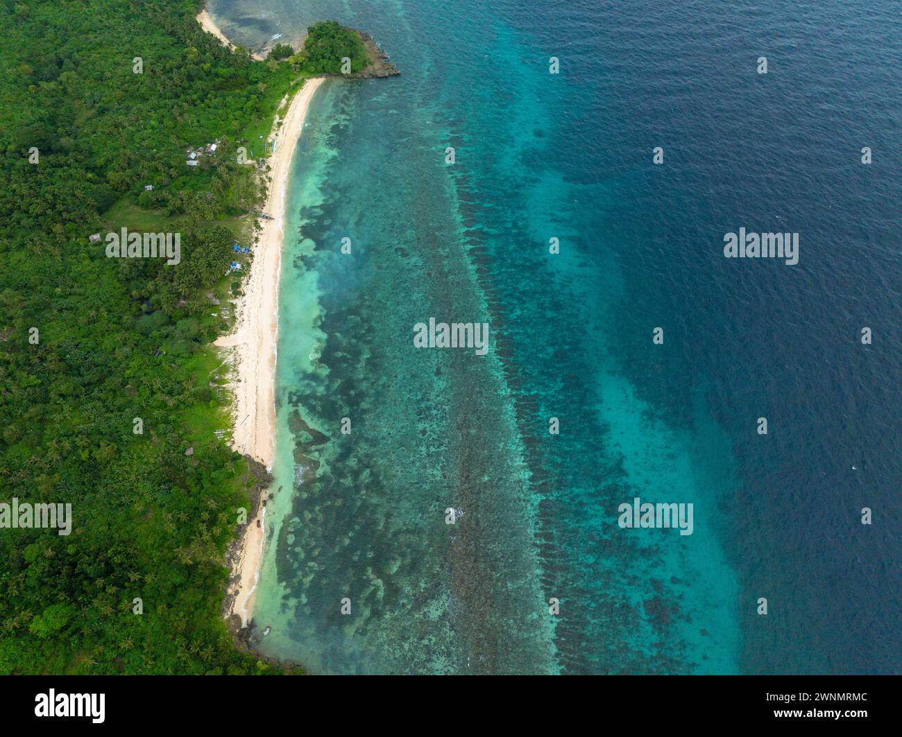 White sand beach with turquoise water and corals. Carabao Island. San ...