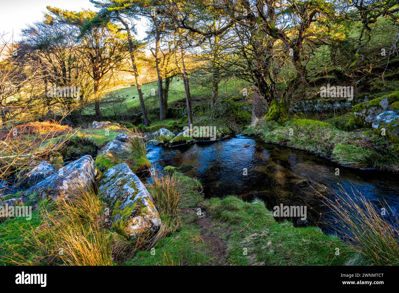 The Black-a-ven Brook flows to the north of East Okement Farm, to meet ...