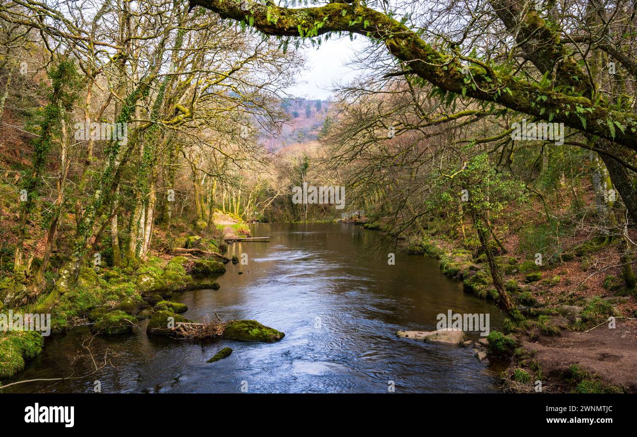 The River Teign, flowing through the gorge between Fingle Bridge and ...