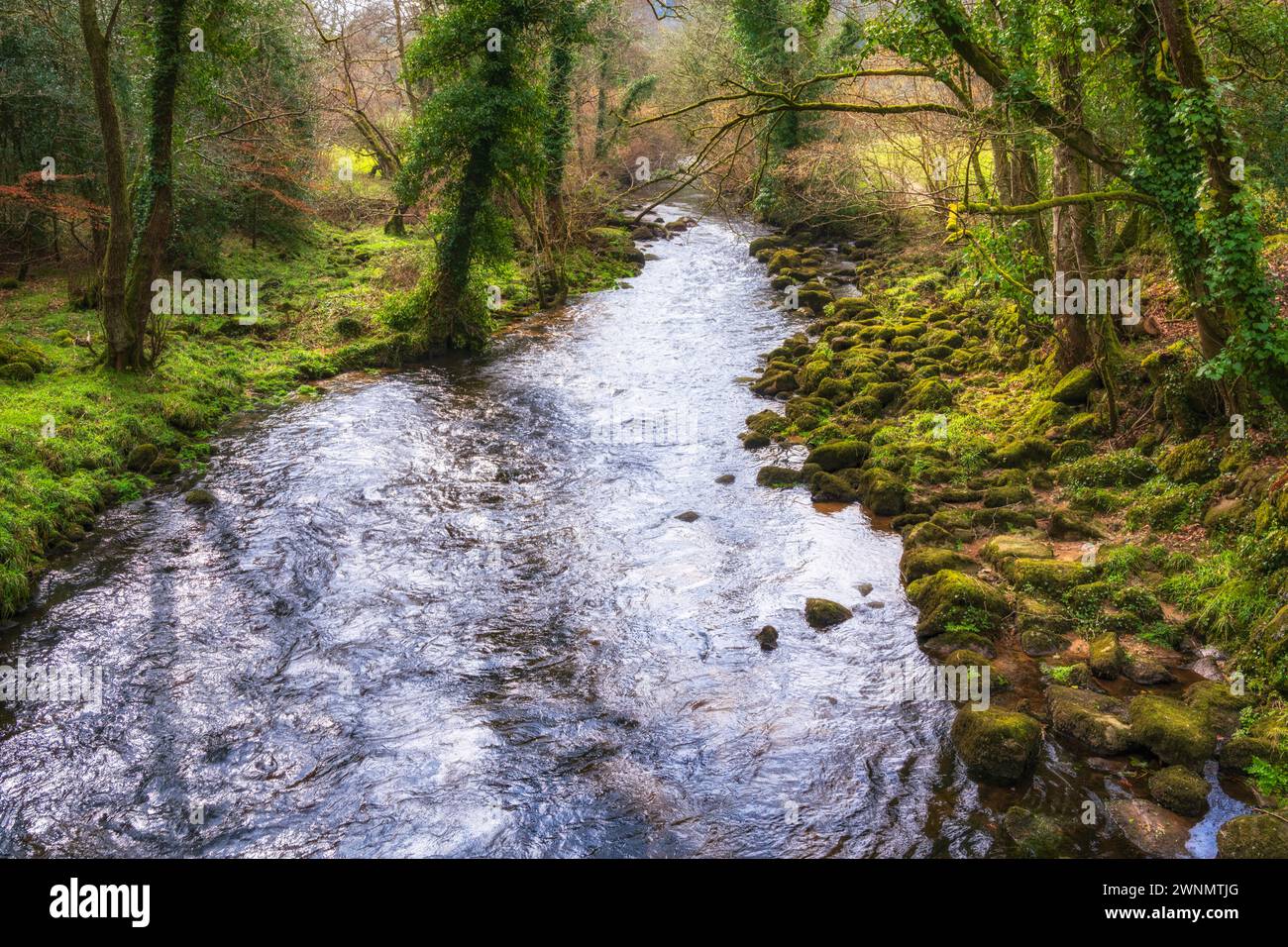 The River Teign, flowing through the gorge between Fingle Bridge and ...