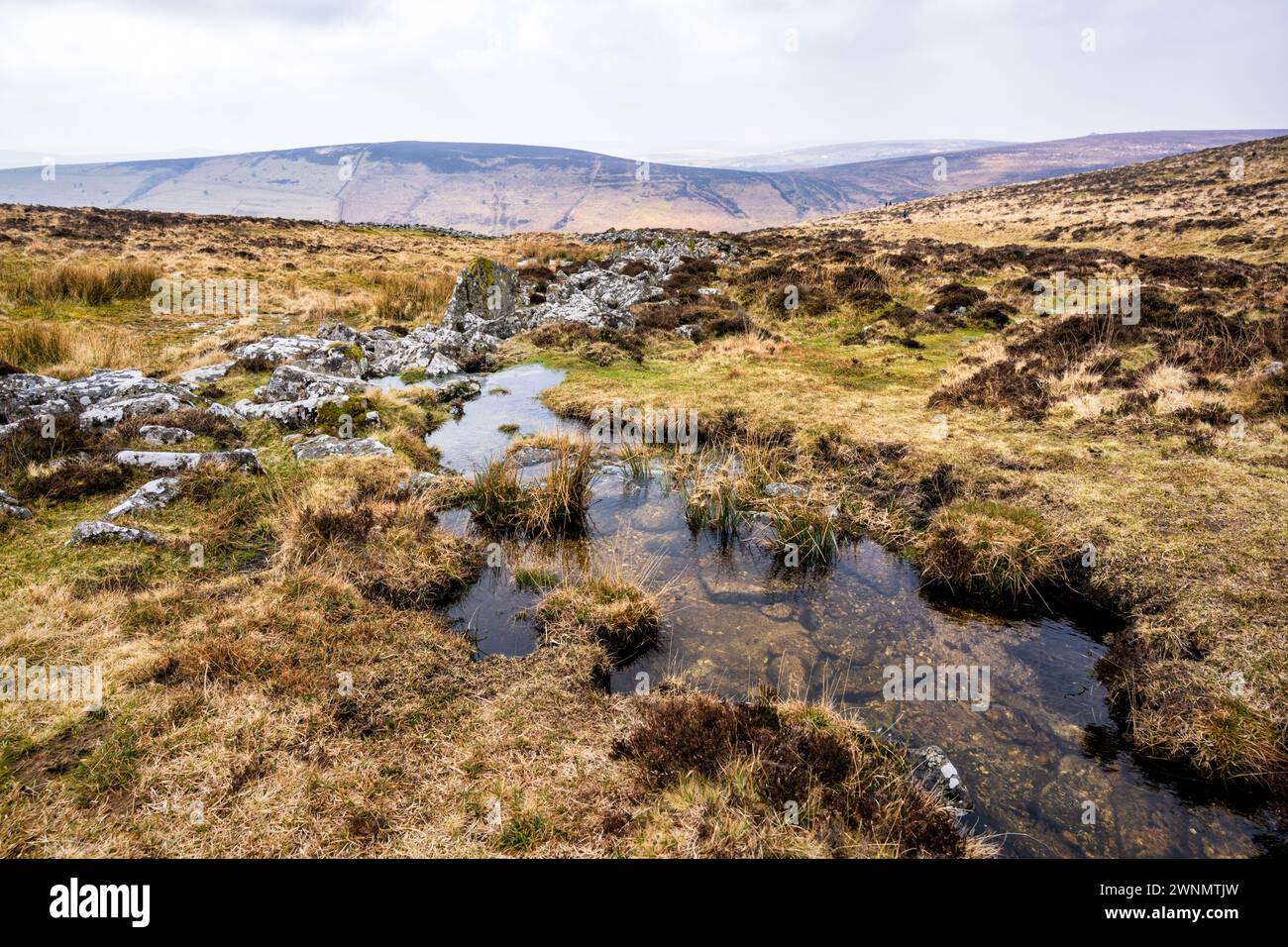 The West Webbern, a small brook flows through part of Grimspound Bronze ...