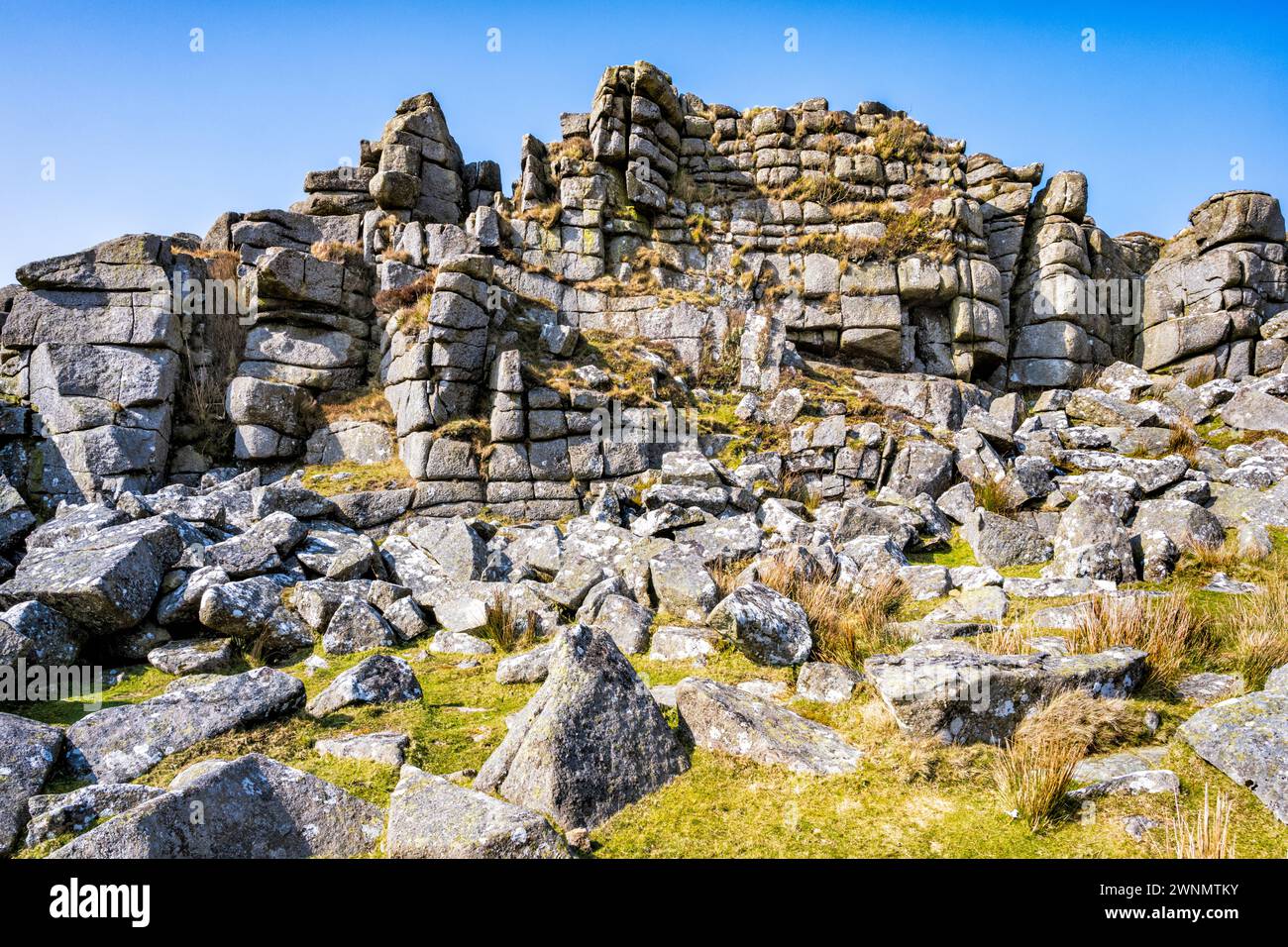 The huge granite outcrop of Higher Tor on Belstone Ridge features a ...
