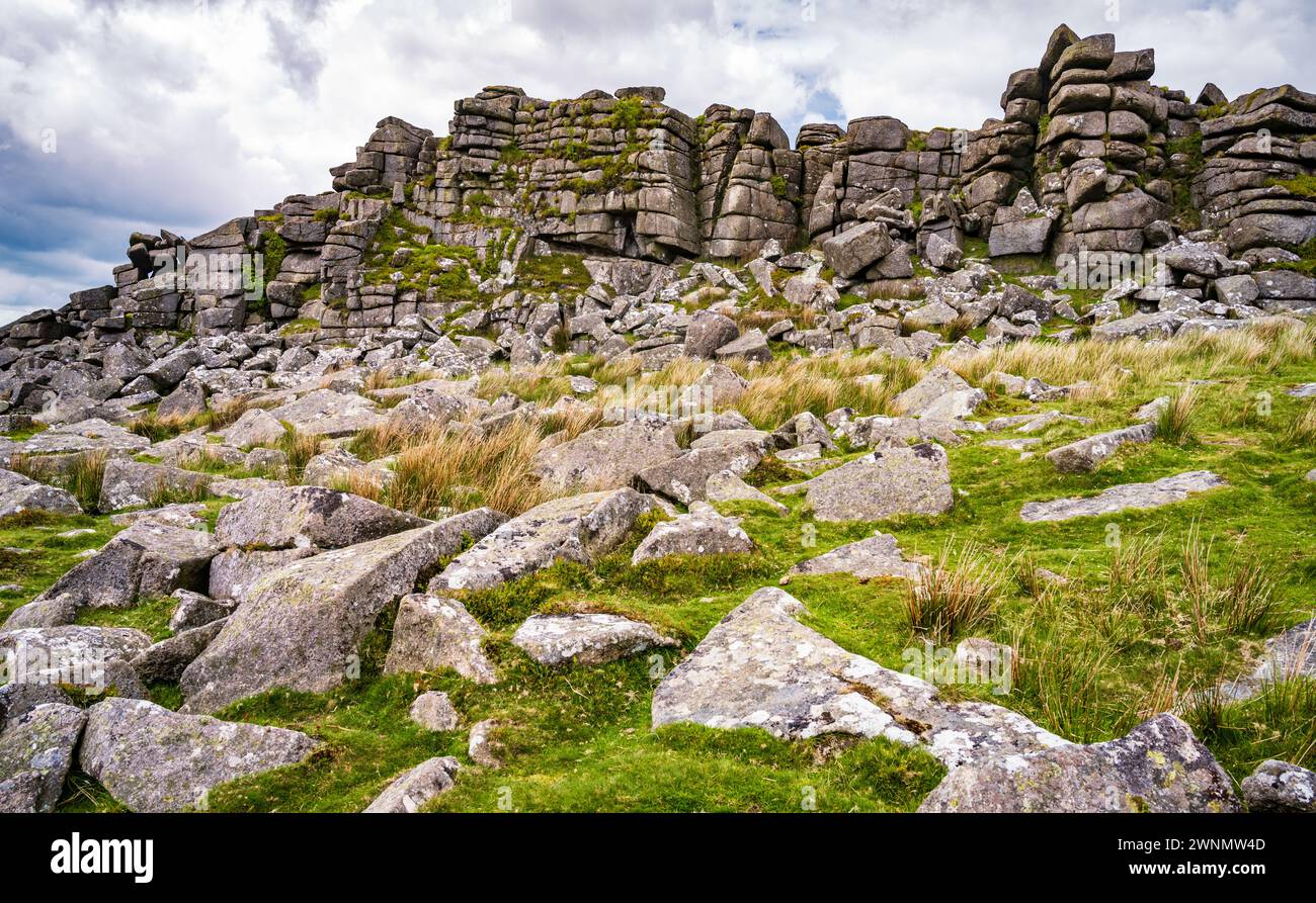 The huge granite outcrop of Higher Tor on Belstone Ridge features a ...