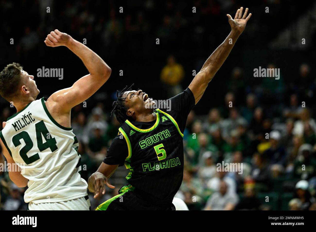 South Florida guard Brandon Stroud (5) is fouled by Charlotte forward ...