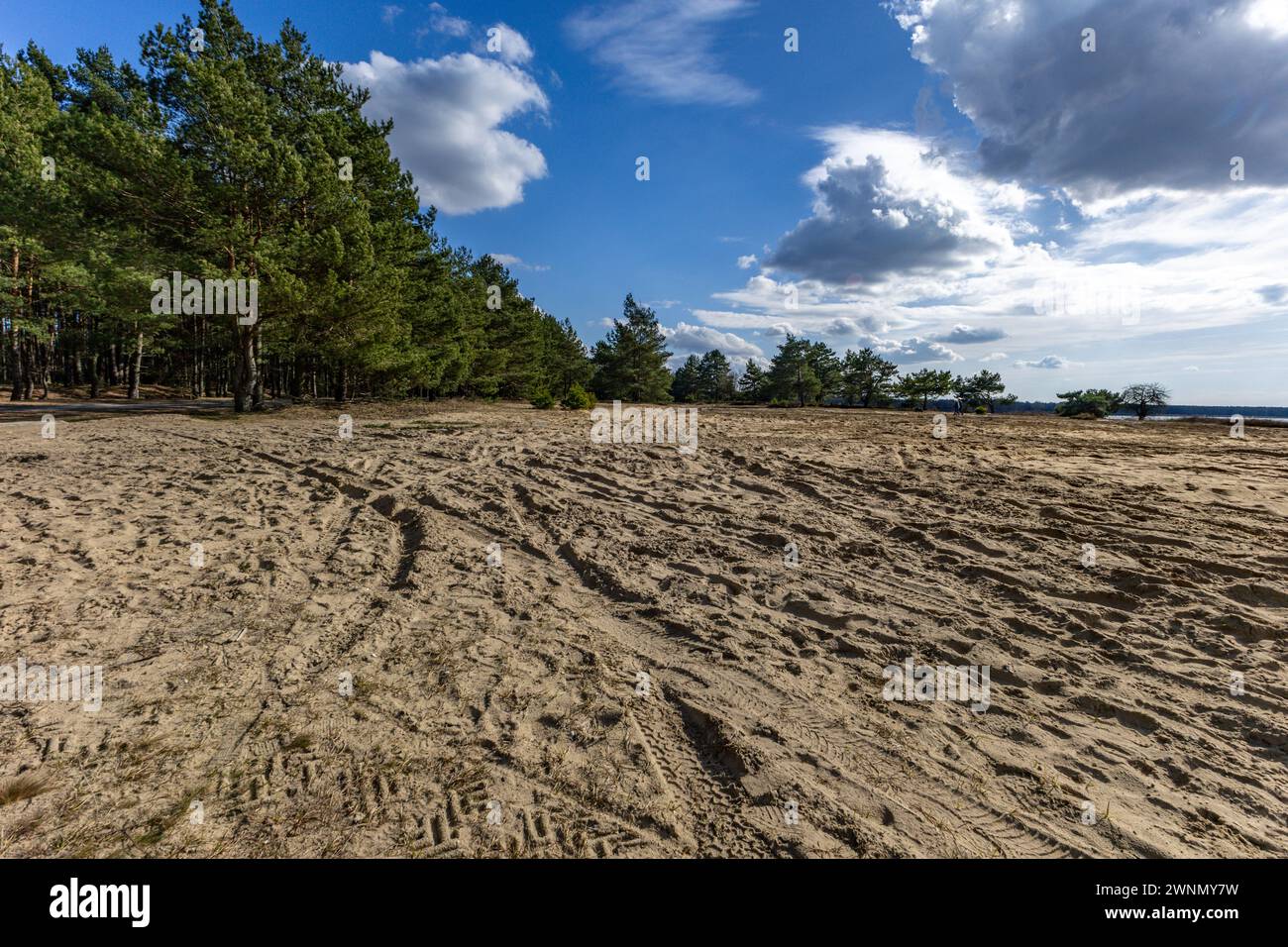 Spring in poraj hi-res stock photography and images - Alamy