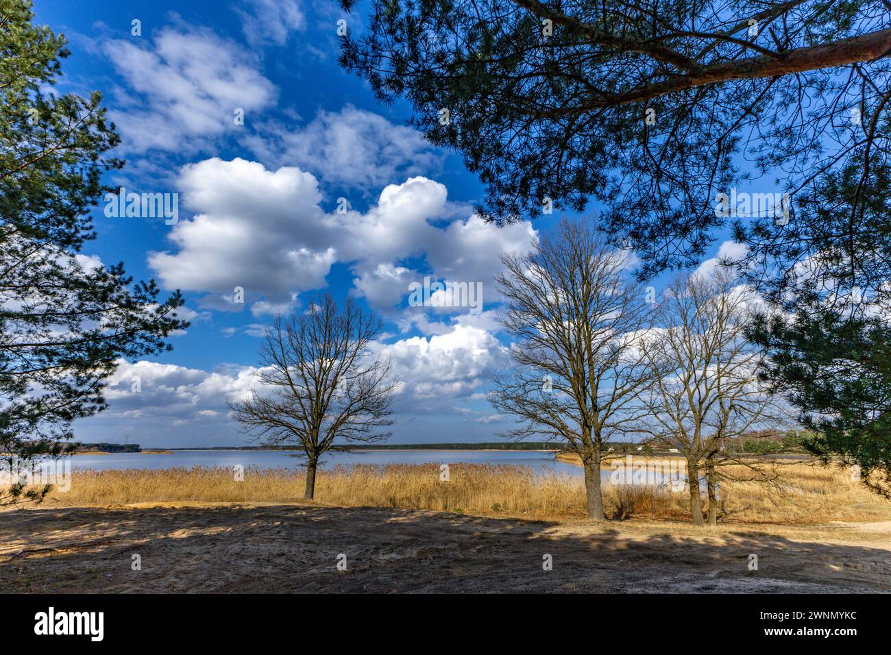 In field spring water hi-res stock photography and images - Alamy