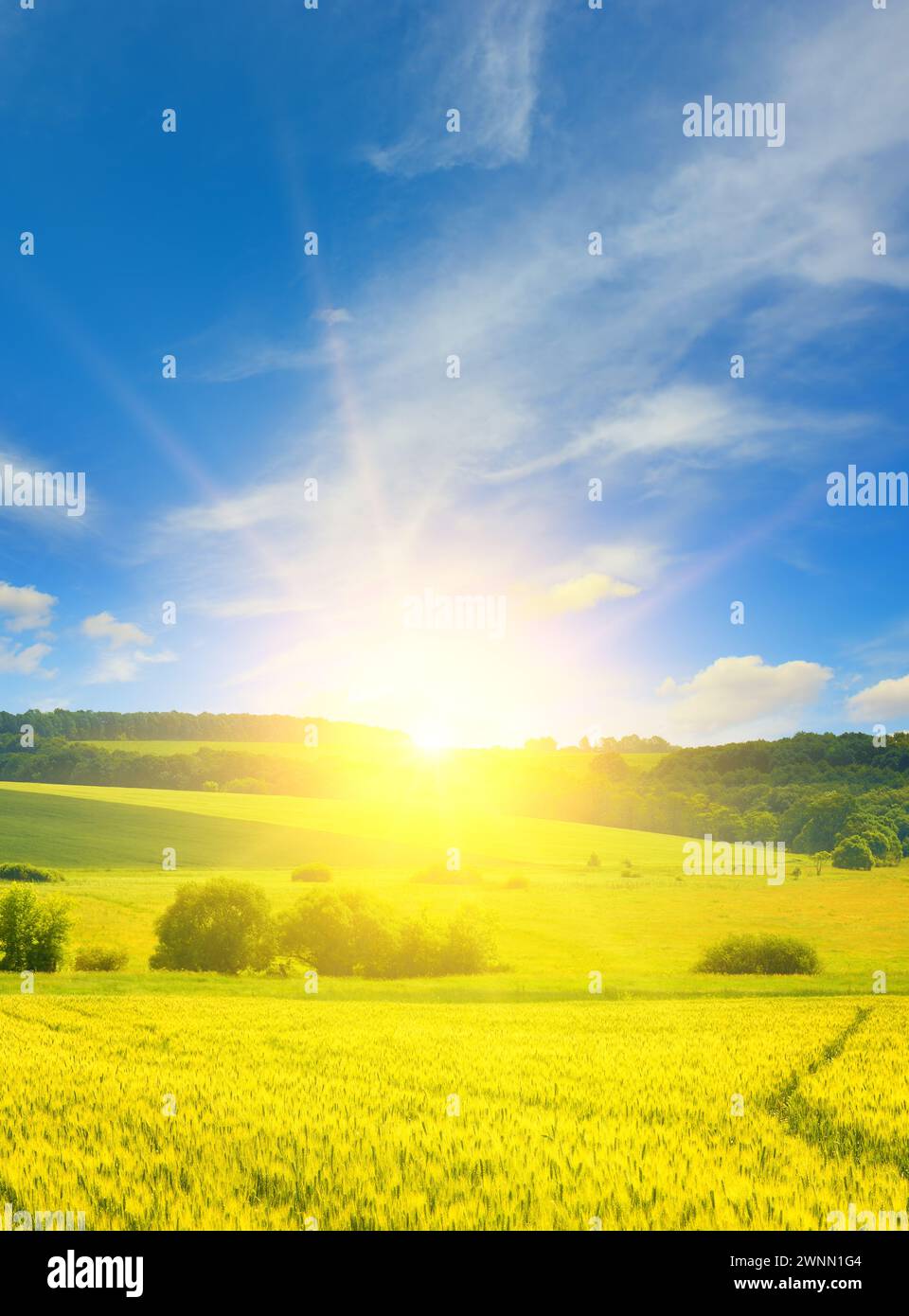 Sunrise field hi-res stock photography and images - Alamy