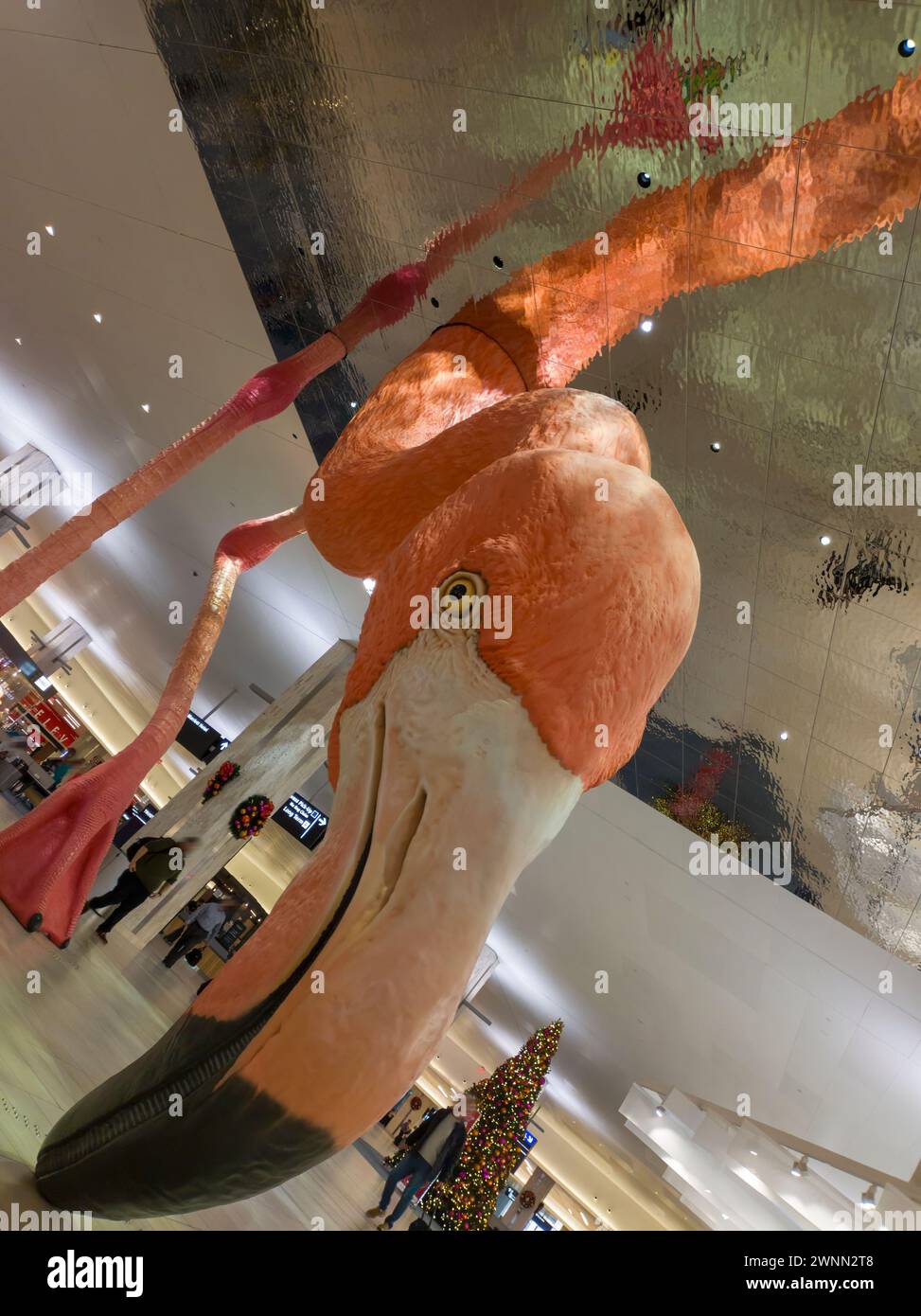 "Phoebe" is the large flamingo statue inside Tampa International ...