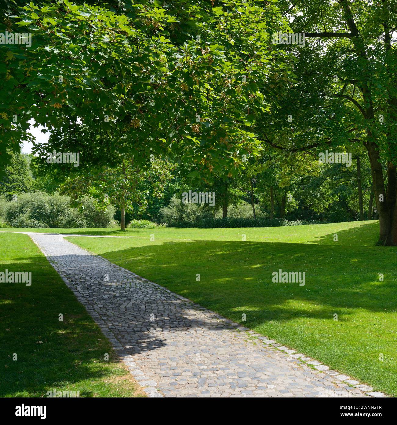 Green meadow path forest hi-res stock photography and images - Alamy