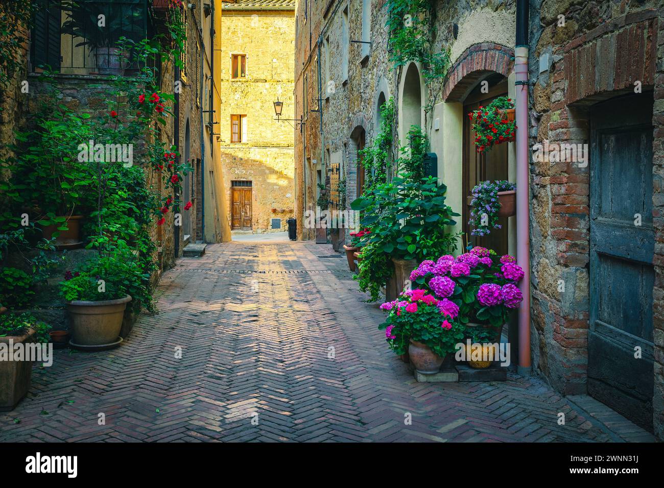 Stunning narrow paved street view with orderly old stone houses ...