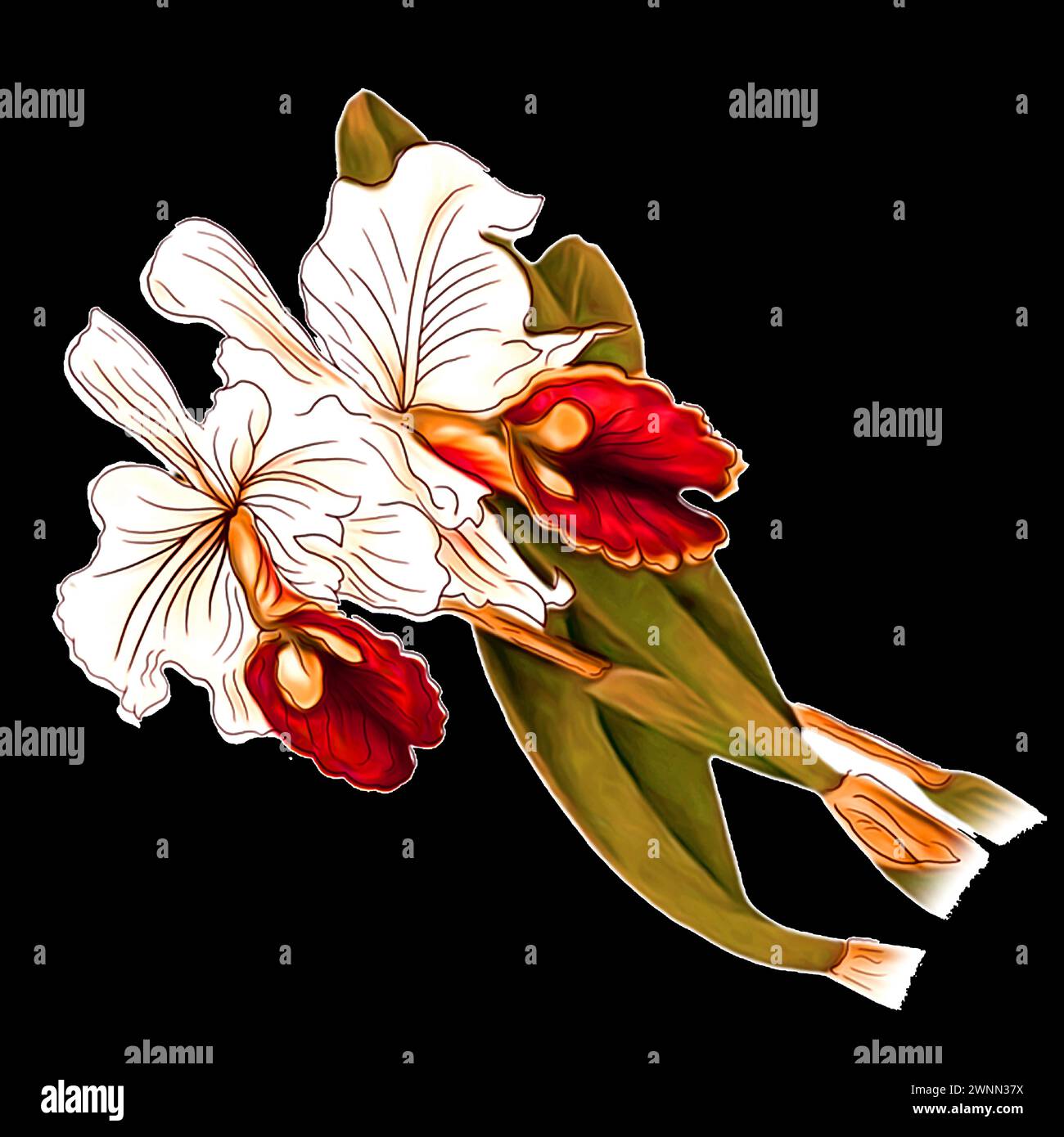 digital textile motif design in beautiful color Stock Vector Image ...