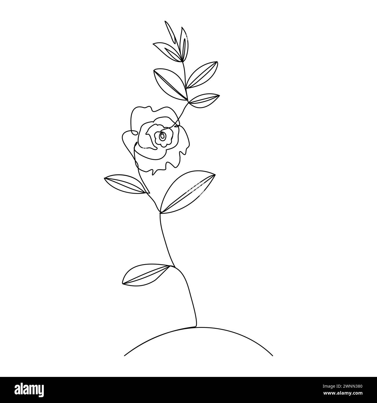 continuous single drawn single line rose flower hand-drawn picture silhouette. line art doodle ...