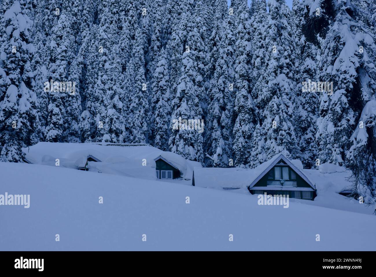 Gulmarg, Kashmir, India. 3rd Mar, 2024. A general view of huts during a ...