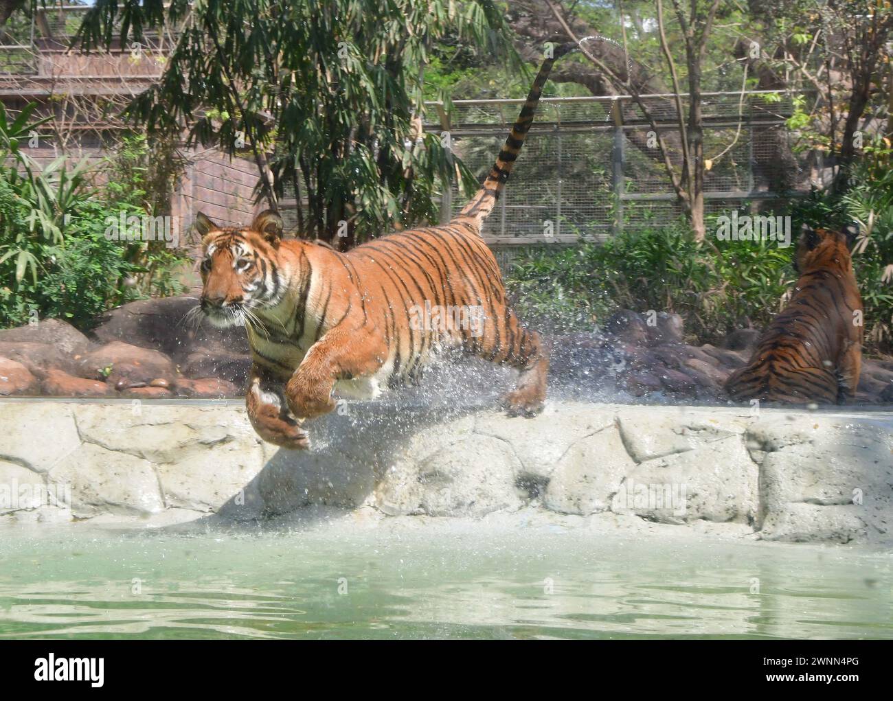 Mumbai byculla zoo hi-res stock photography and images - Alamy