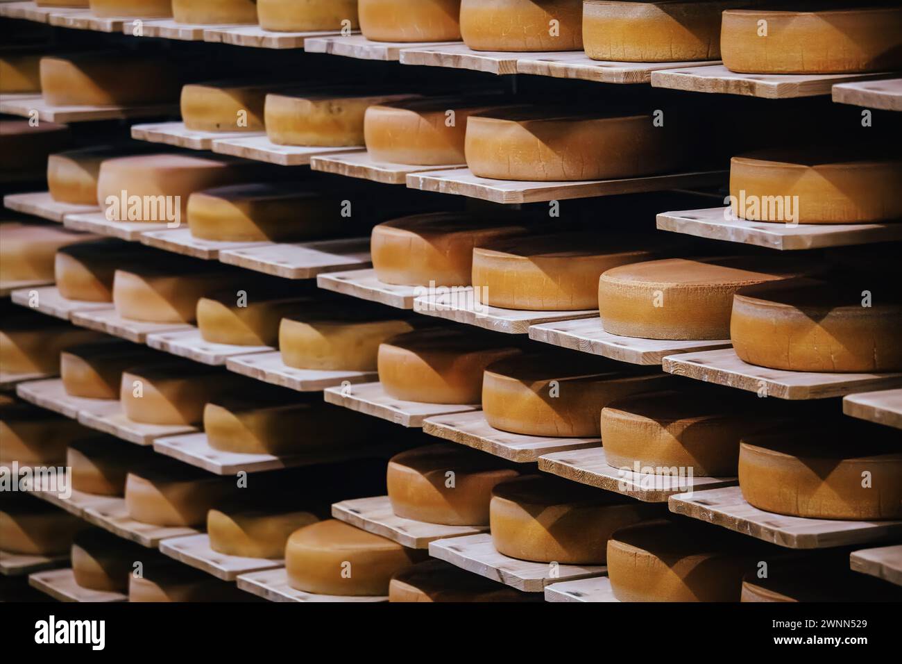 Shelves with wheels of cheese at cheese warehouse Stock Photo - Alamy