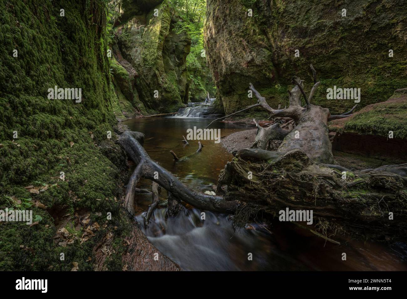 Devils pulpit glasgow hi-res stock photography and images - Alamy