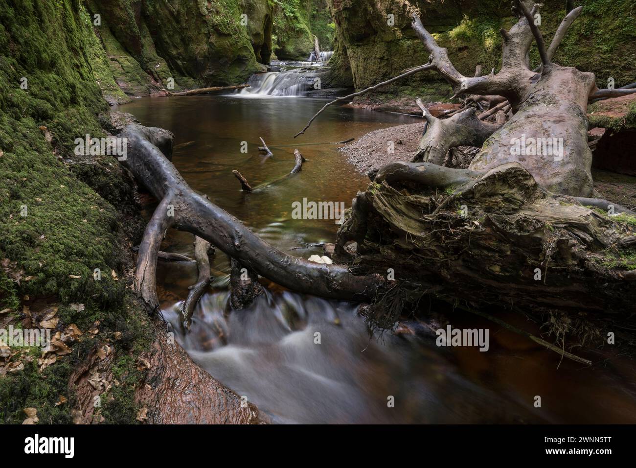 Devils pulpit glasgow hi-res stock photography and images - Alamy