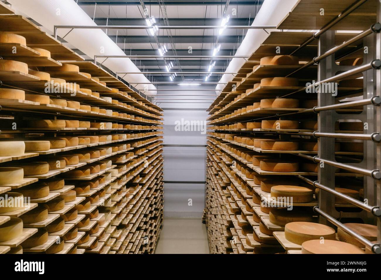 Cheese ripening shelves hi-res stock photography and images - Alamy