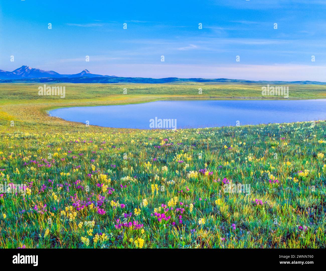 Mt 5237 hi-res stock photography and images - Alamy