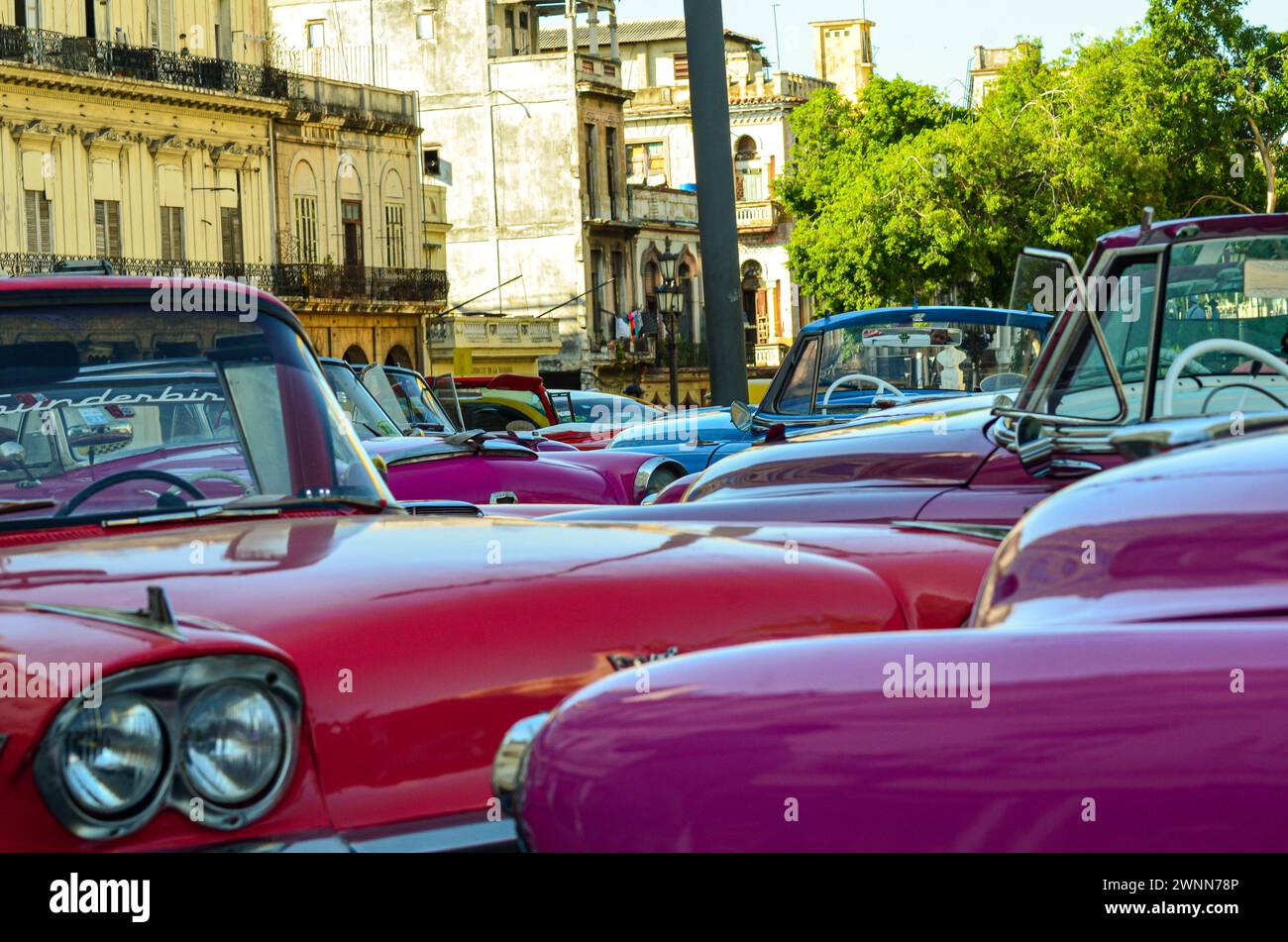 A row of brightly colored Vintage Cuban cars along the side streets in ...