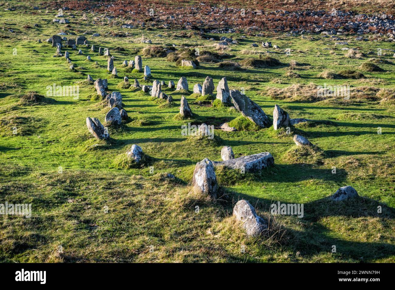 Prehistoric triple stone row, sometimes called "The Graveyard", on the ...