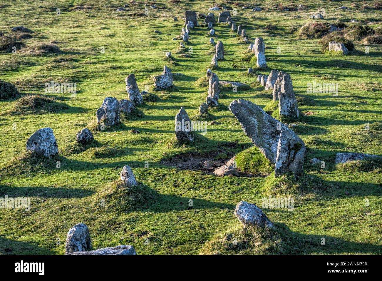 Prehistoric triple stone row, sometimes called "The Graveyard", on the ...