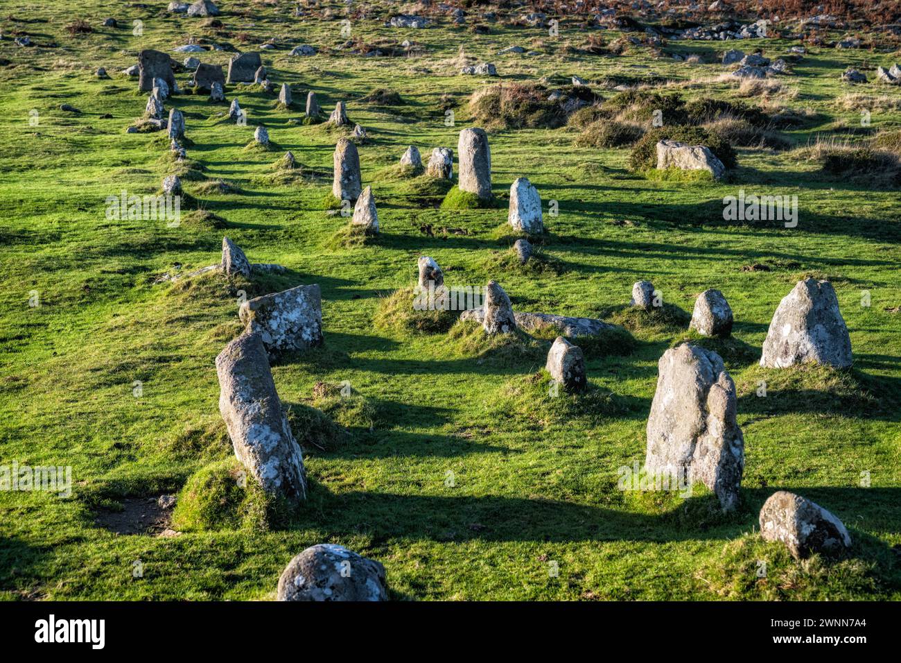 Prehistoric triple stone row, sometimes called "The Graveyard", on the ...