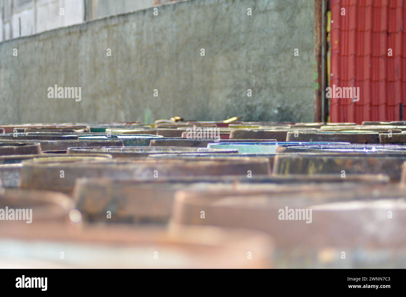 Top view of American white oak barrels, lined up in a row along the ...