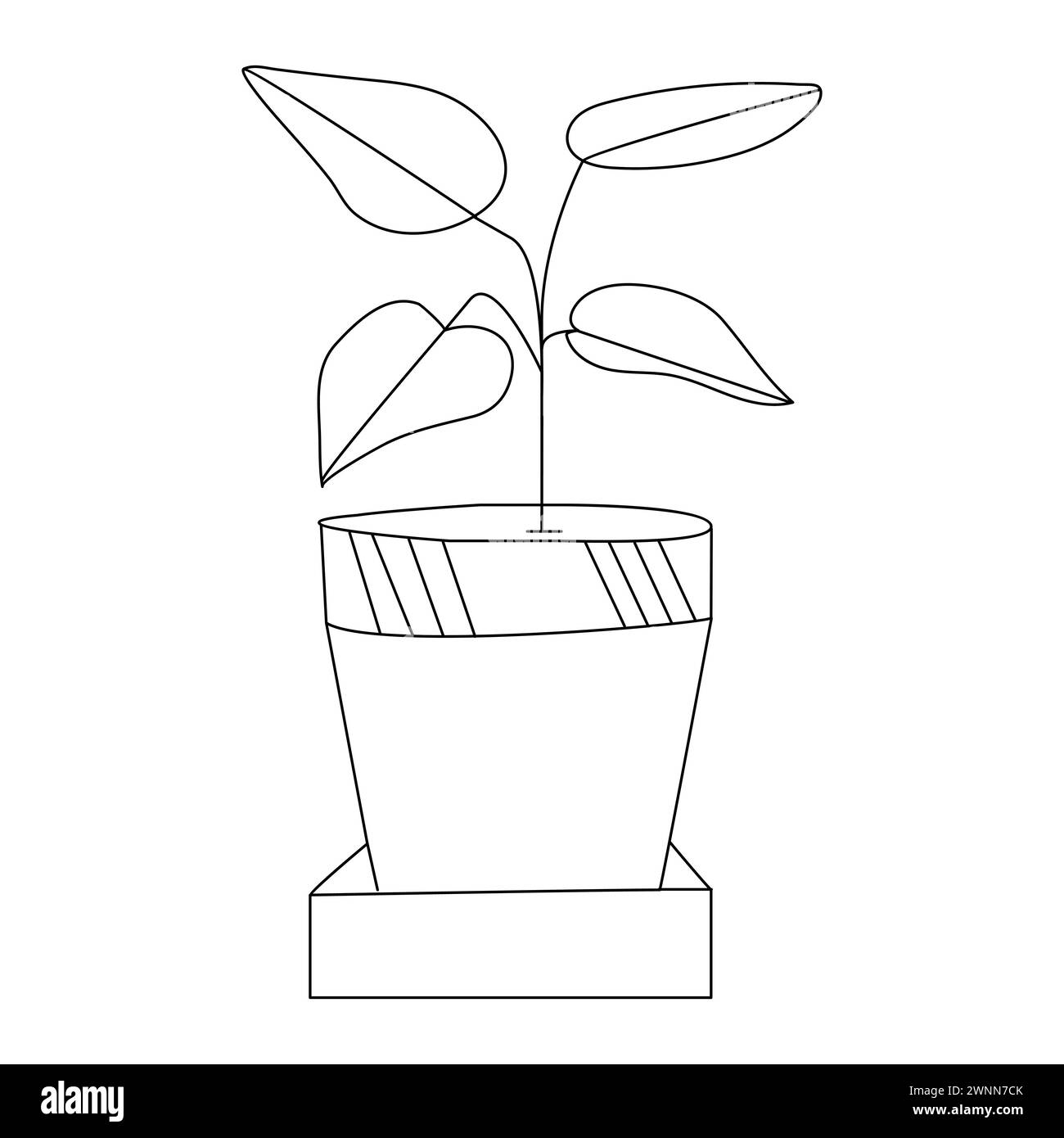 continuous single drawn single line rose flower hand-drawn picture ...