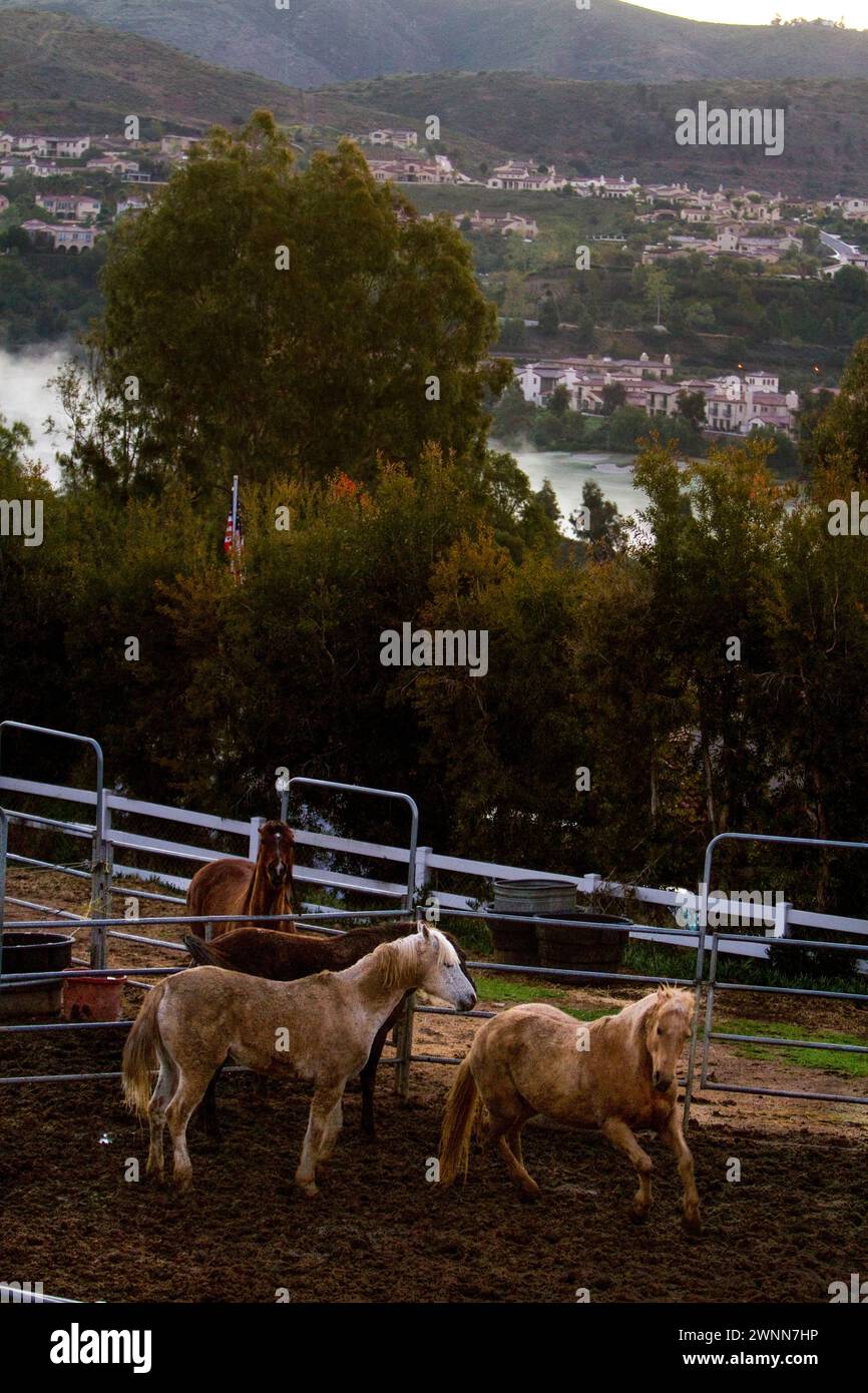 Arista, a new home community by Davidson Homes, in Ranch Santa Fe ...