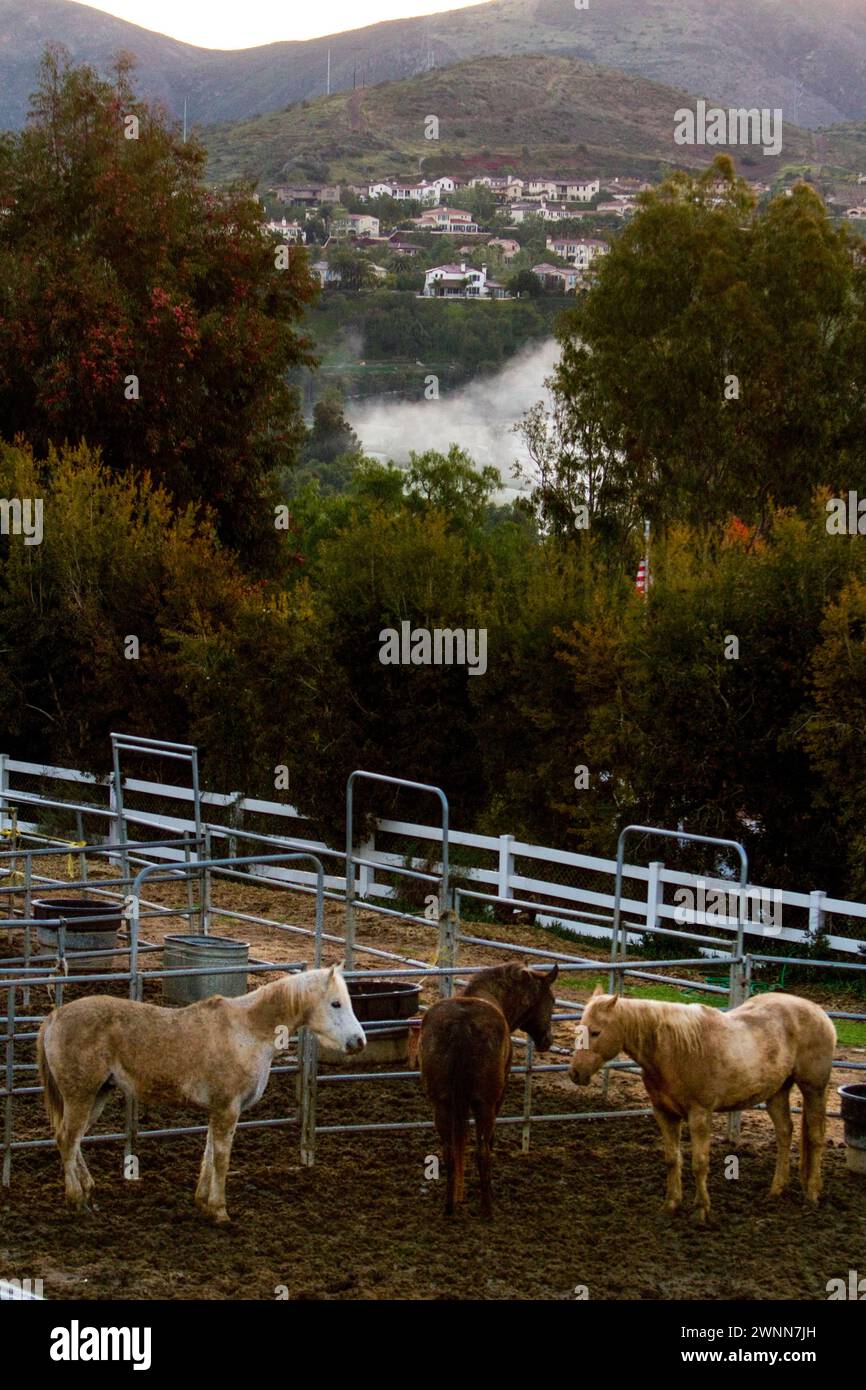 Arista, a new home community by Davidson Homes, in Ranch Santa Fe ...