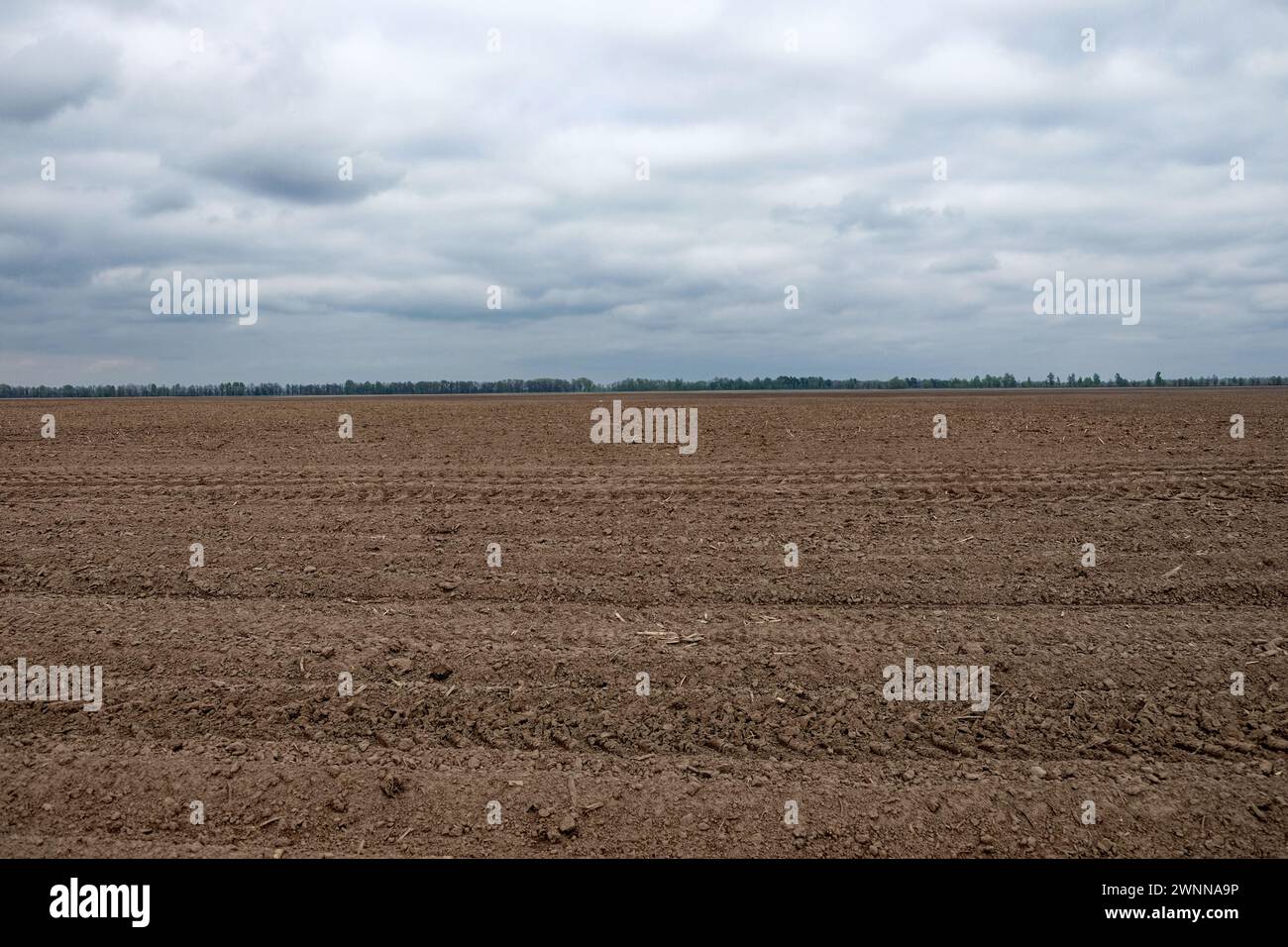 Ploughed agricultural land ready for sowing, sky above Stock Photo - Alamy