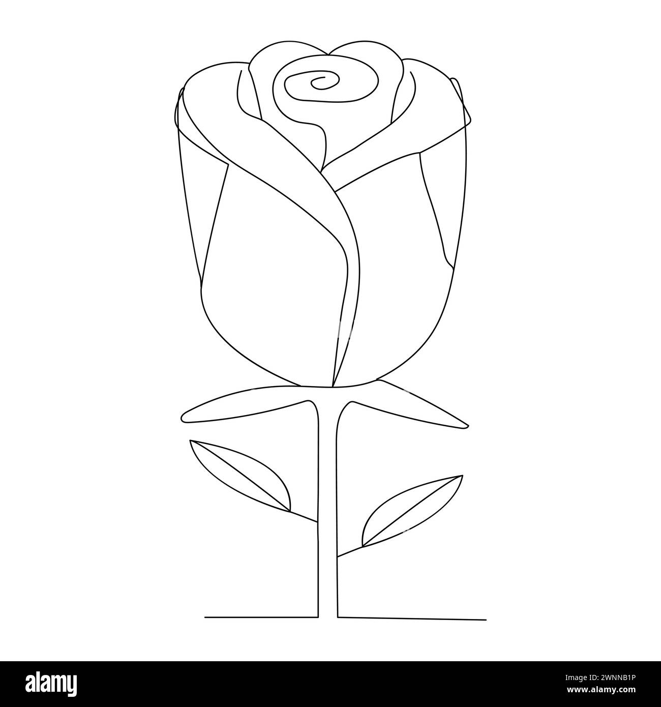 continuous single drawn single line rose flower hand-drawn picture silhouette. line art doodle ...