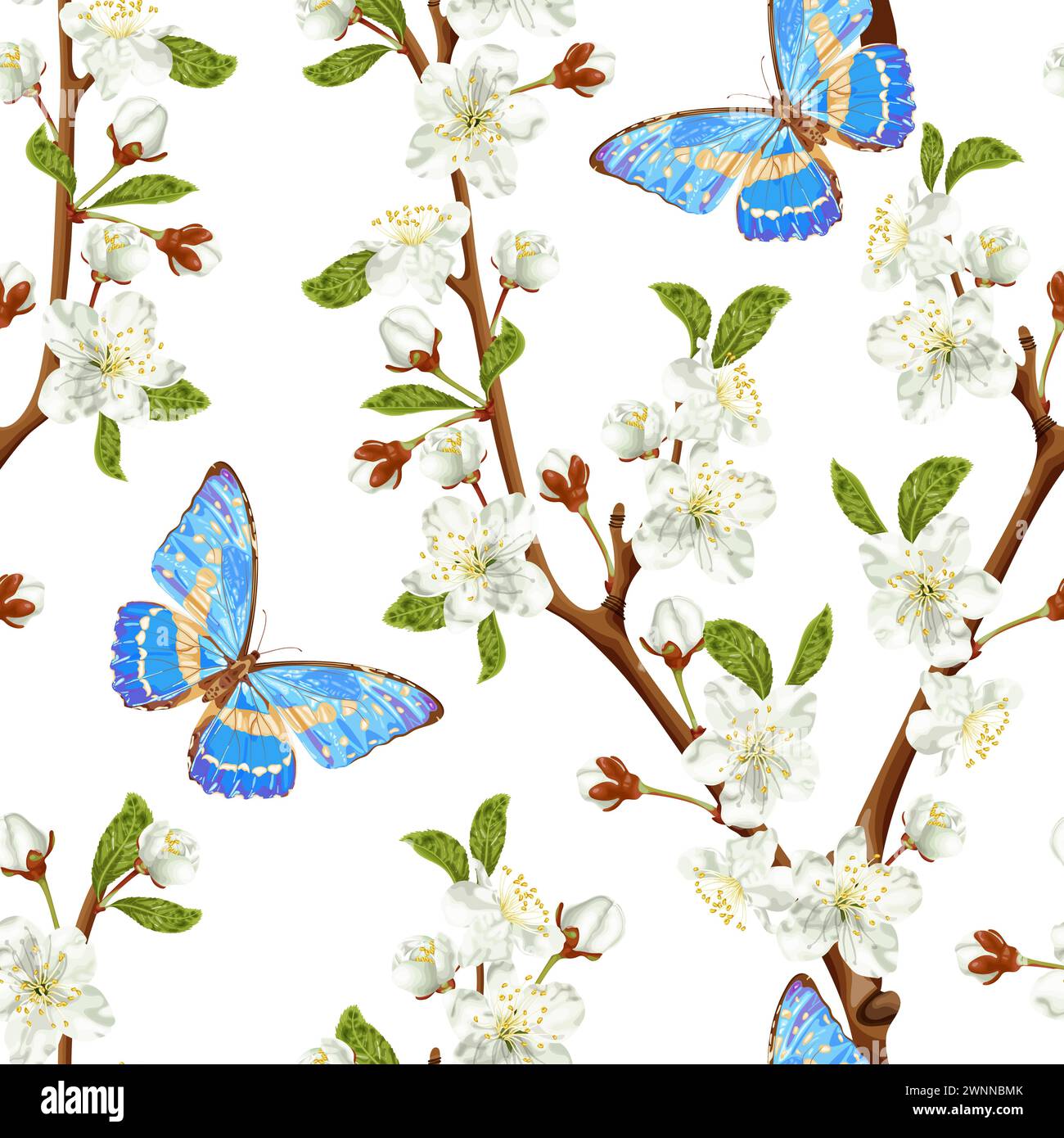 Spring seamless pattern with cherry blossom and blue butterfly. White flowers Stock Vector Image ...