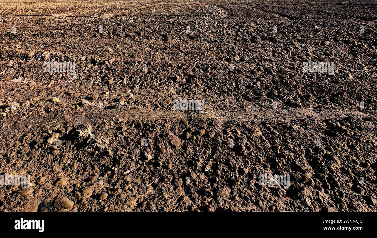 The ground is marked with tire trails amidst rocks, highlighting an ...