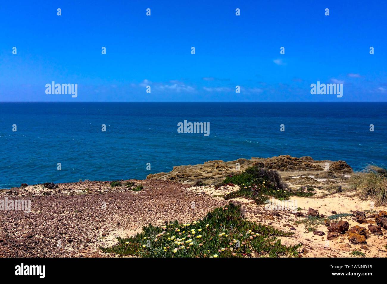 The image captures a rocky shoreline with greenery overlooking a vast ...