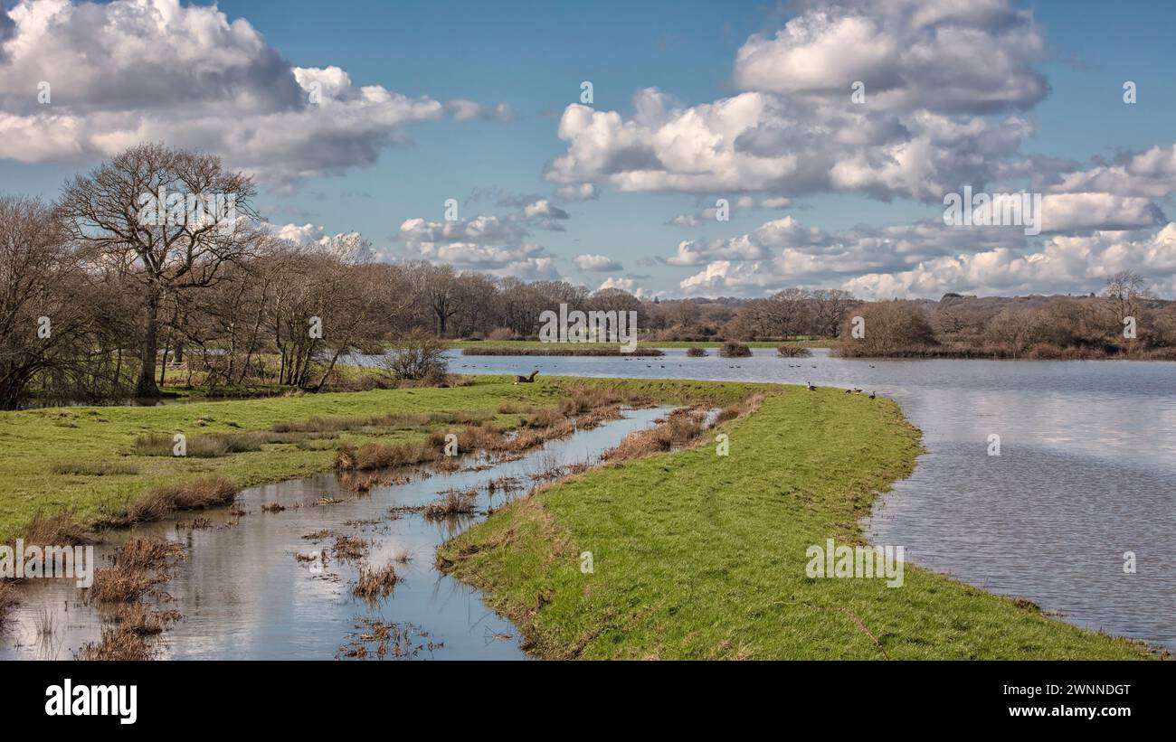 Flood plains of the RIver Adur Stock Photo - Alamy