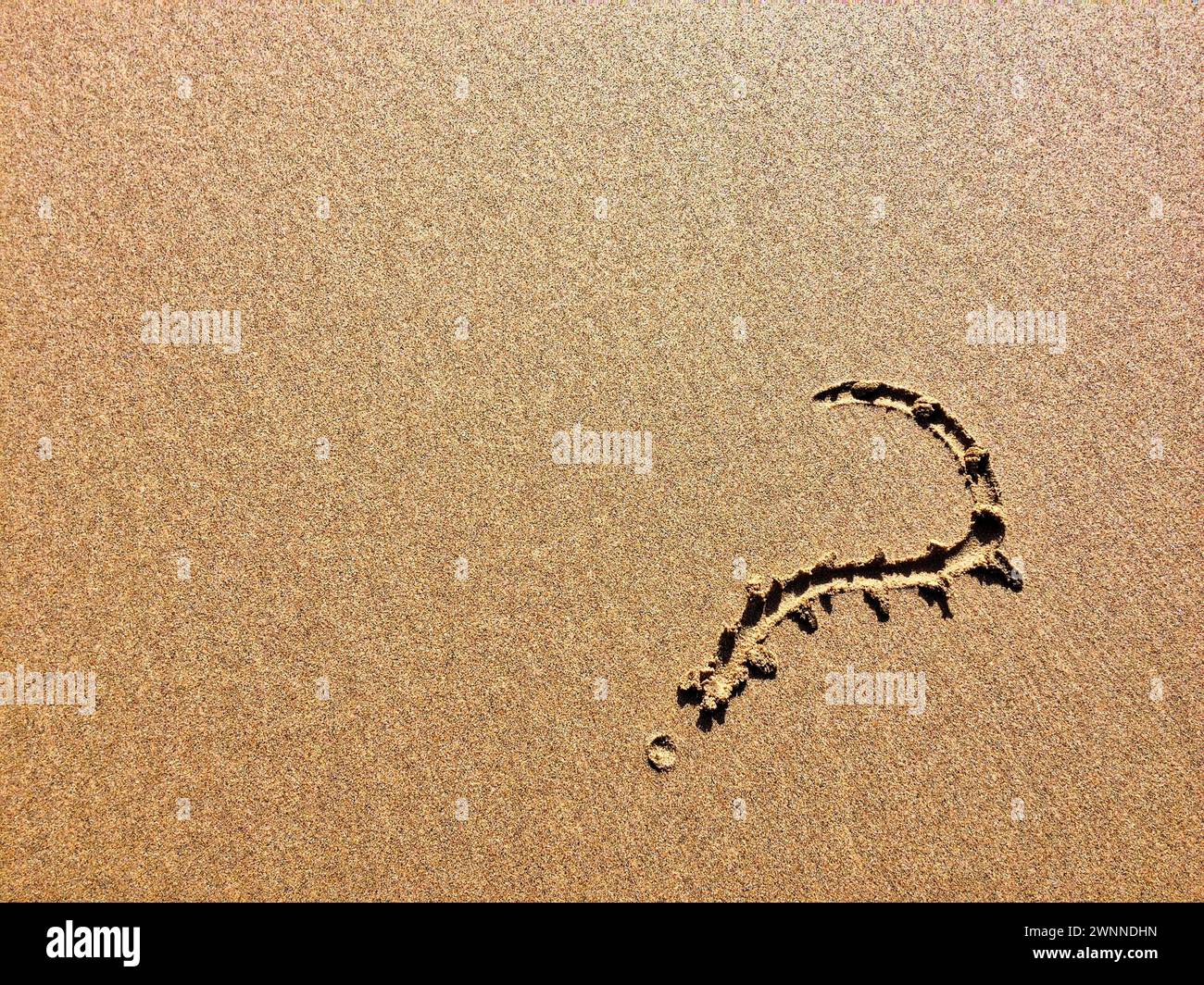The image displays a question mark imprinted on a smooth sandy ground ...