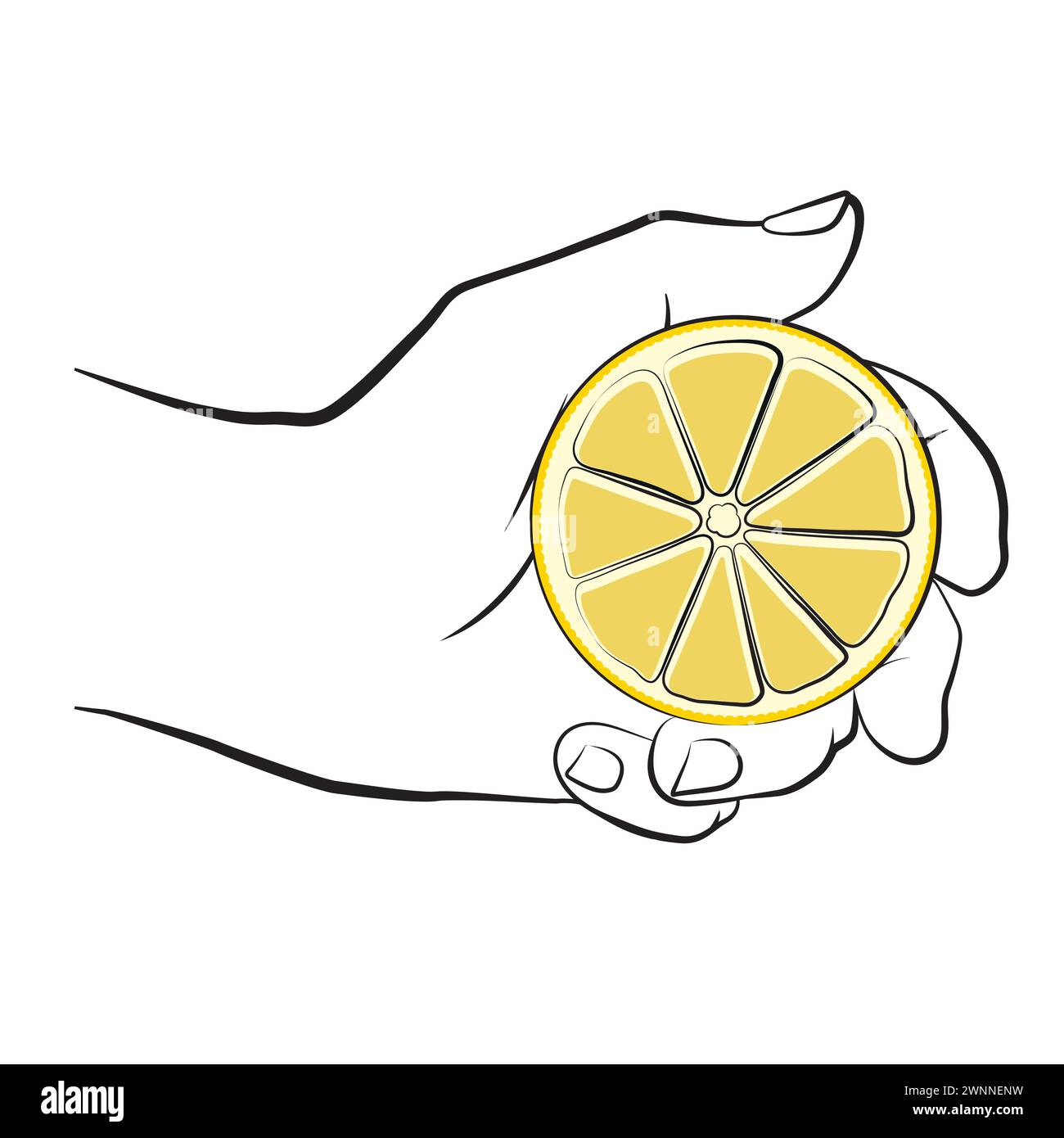 Hand holding lemon slice citrus Stock Vector Images - Alamy