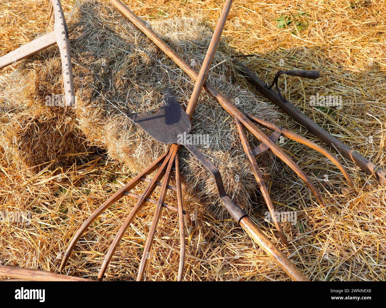 Old Farm wooden Tools Used by Farmers to Move Straw and Hay in the Barn ...