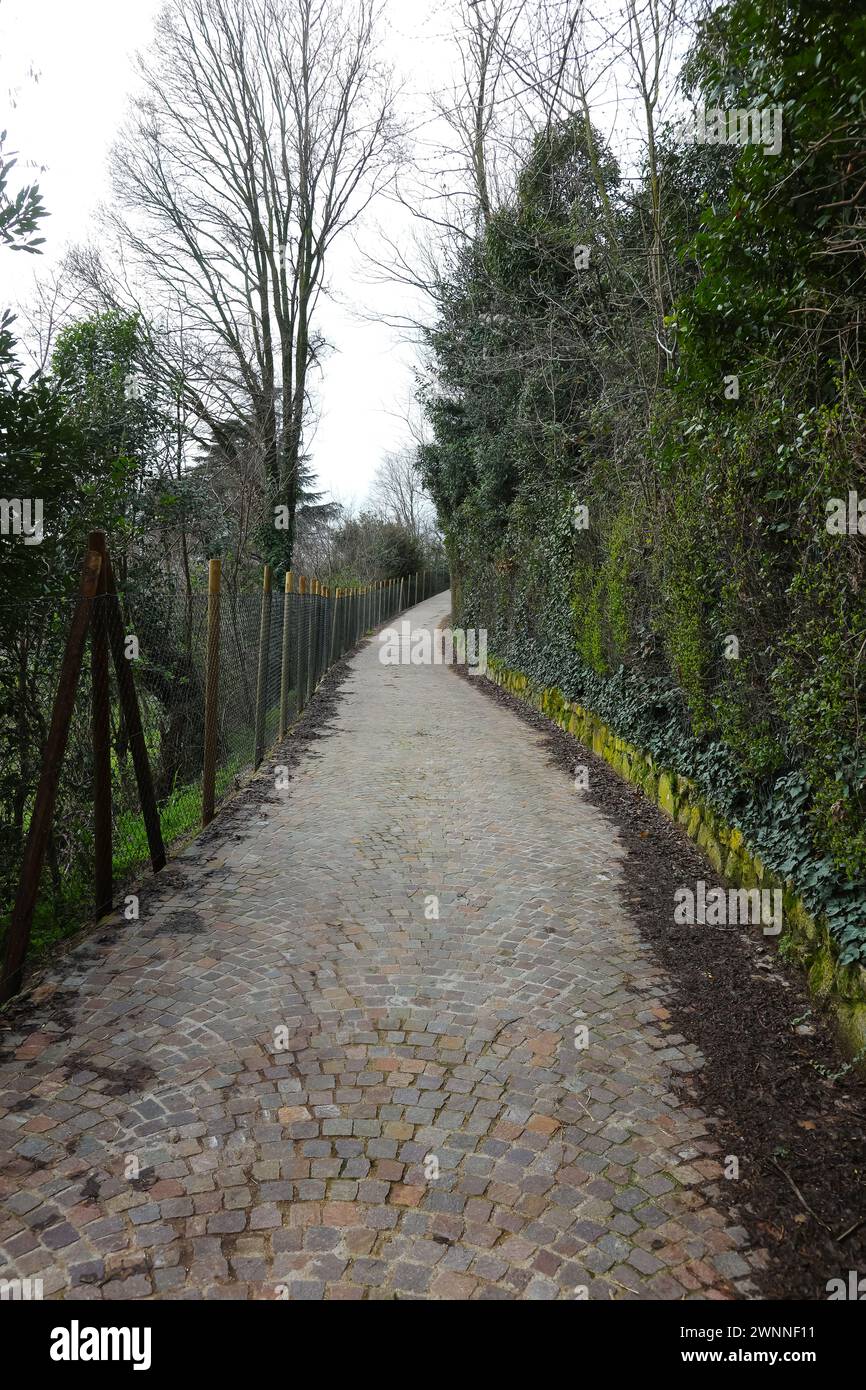 narrow street in the middle of a pedestrian walkway without people ...