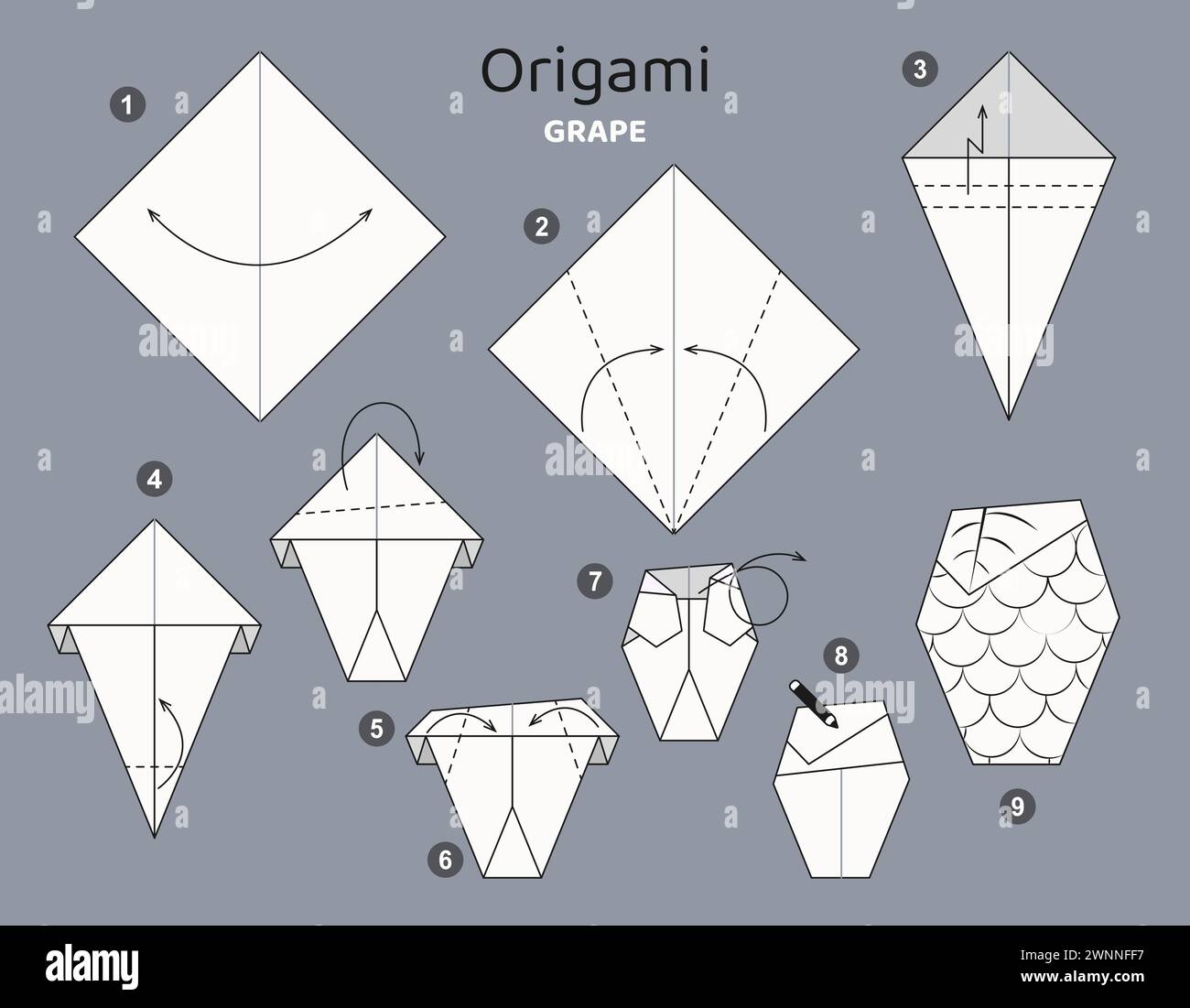 Origami tutorial for kids. Paper grape Stock Vector Image & Art - Alamy
