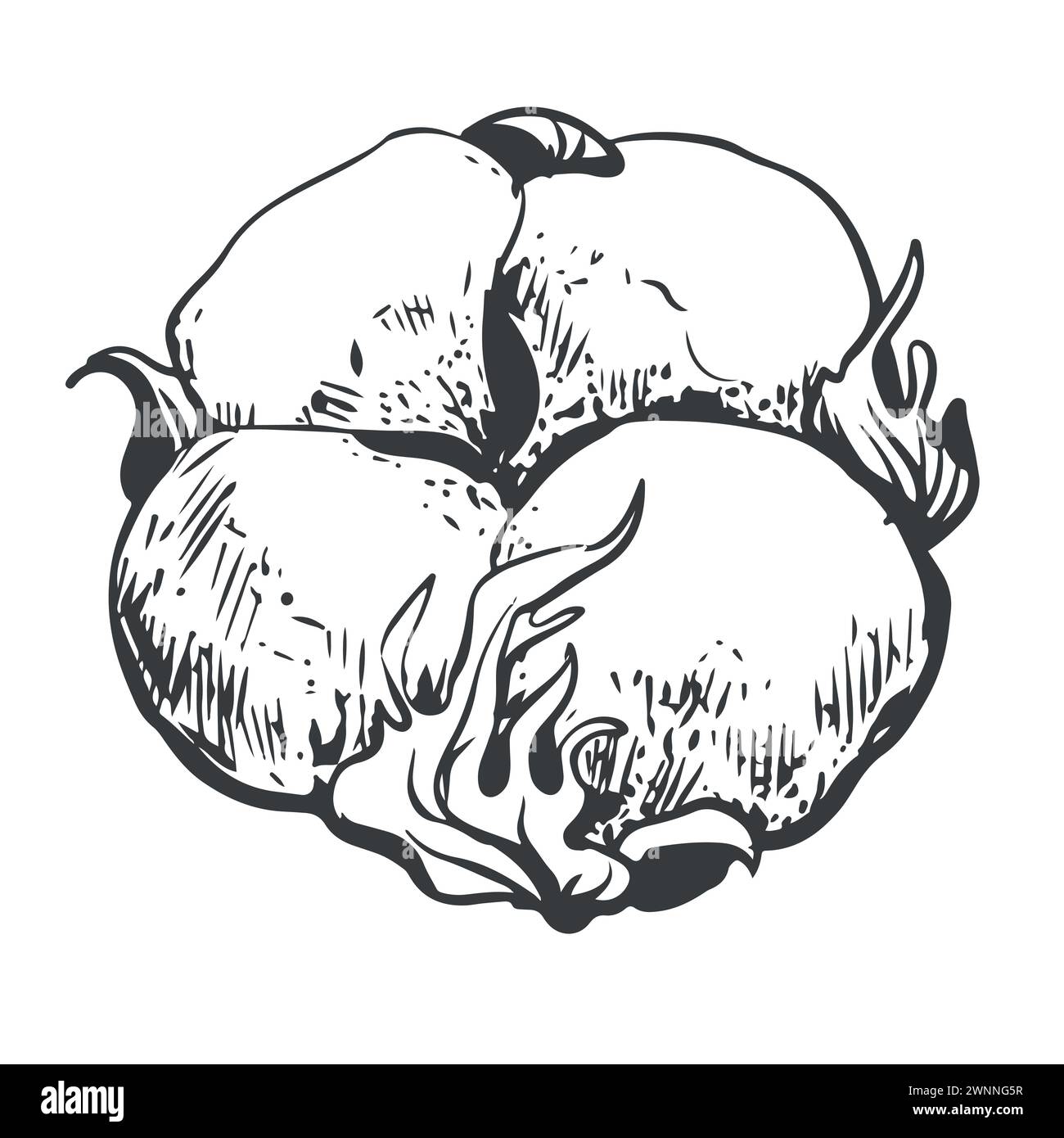 Raw material draw black white hi-res stock photography and images - Alamy