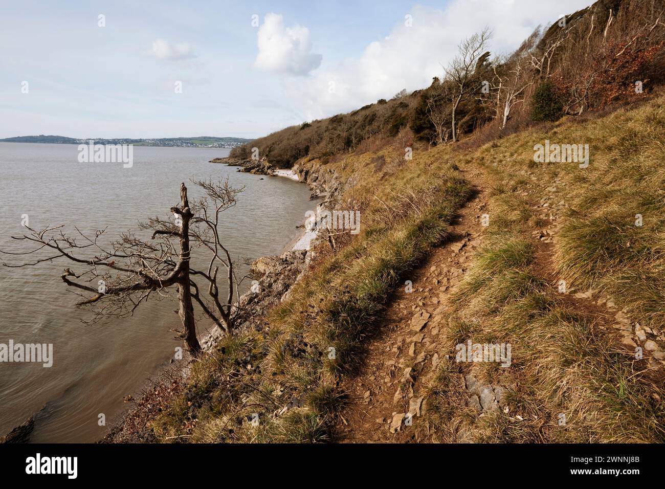 The coastal path around Arnside Park, near Arnside in south Cumbria, UK ...